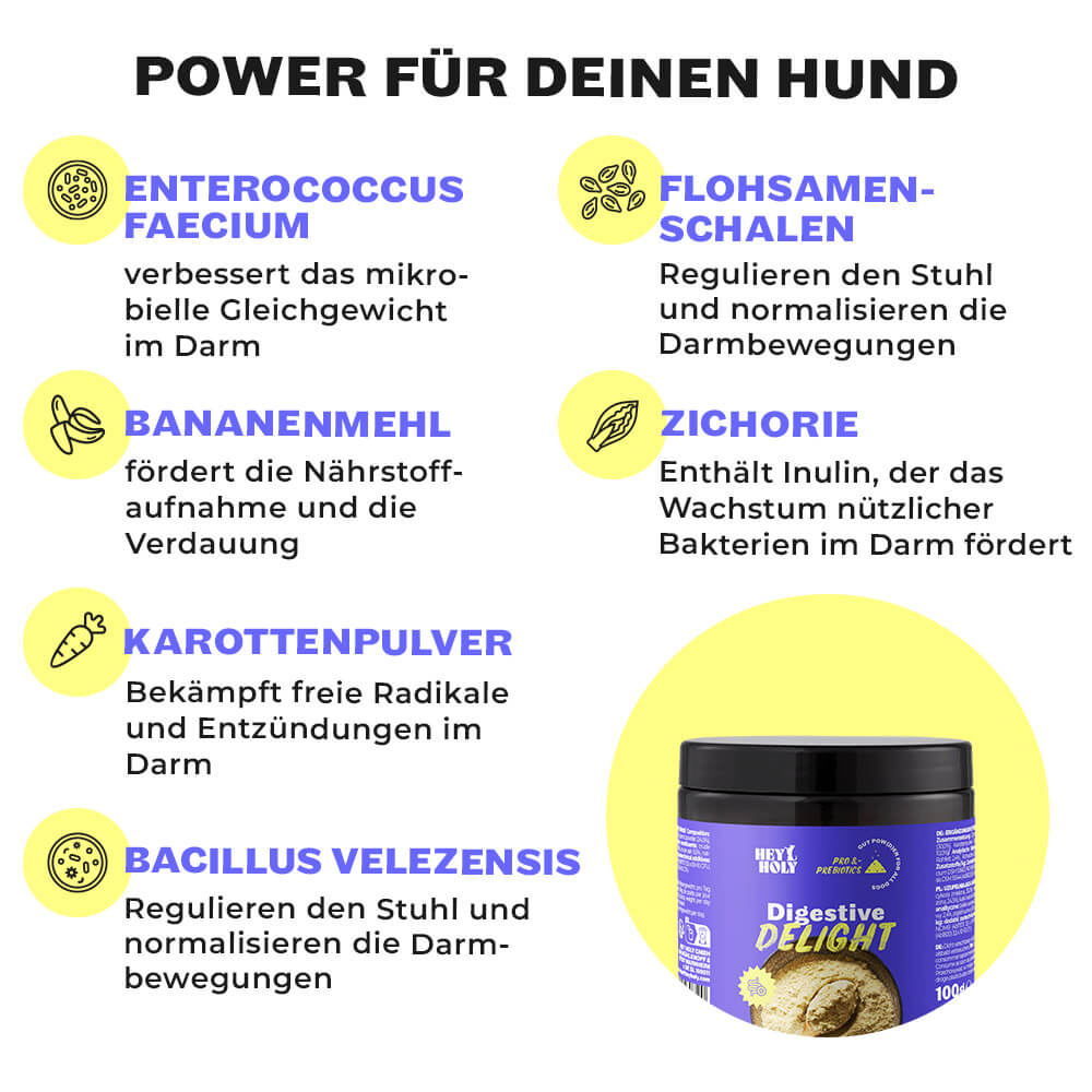 Digestive Delight |Magen-Darm-Kur für Hunde | Hey Holy – HEY HOLY